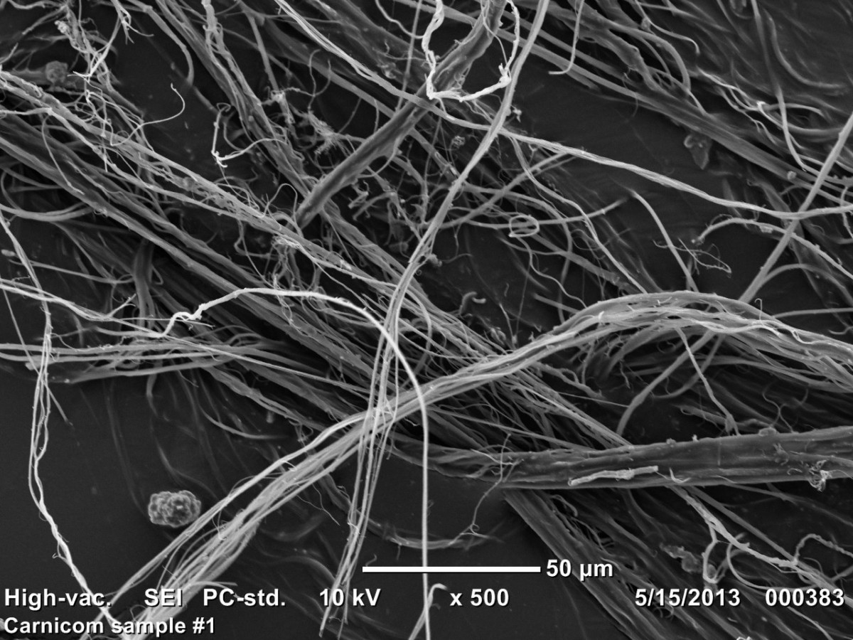 Environmental Filament Project : An Introduction – Carnicom Institute