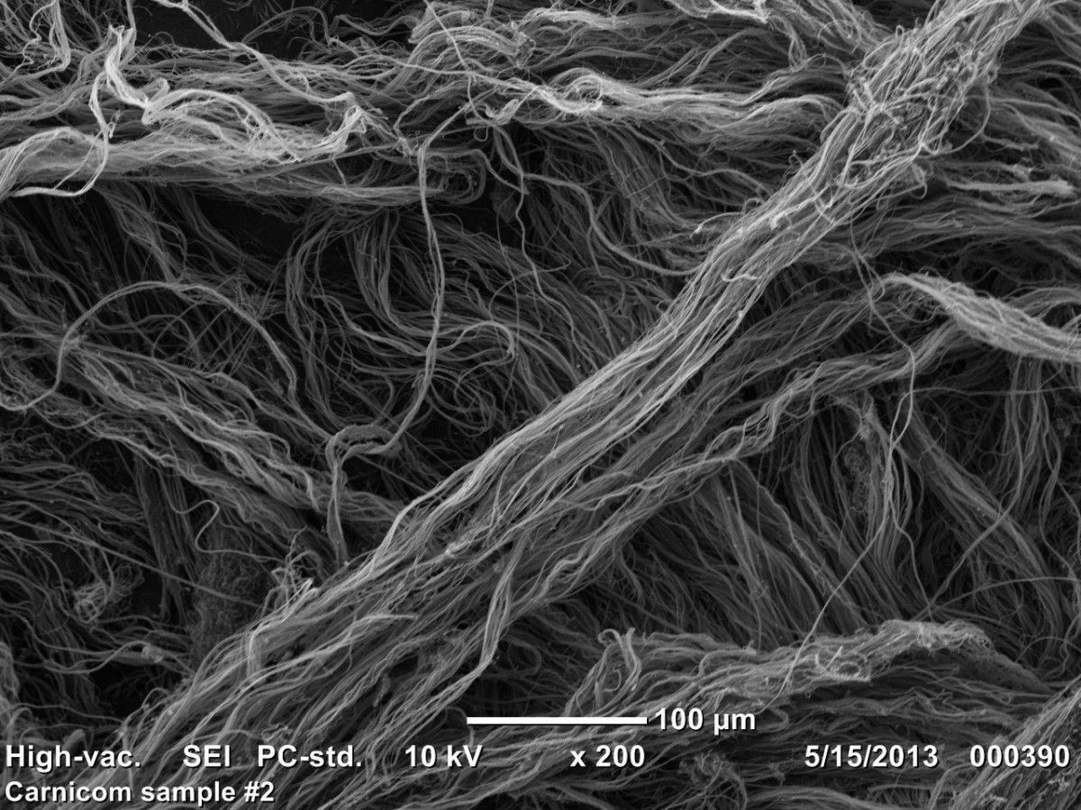 Environmental Filament Project : An Introduction – Carnicom Institute